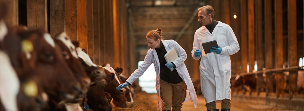 About Us – Australian Renderers Association